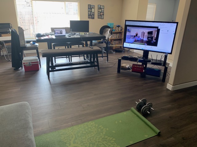 Physical Education during Virtual Learning – The Sage